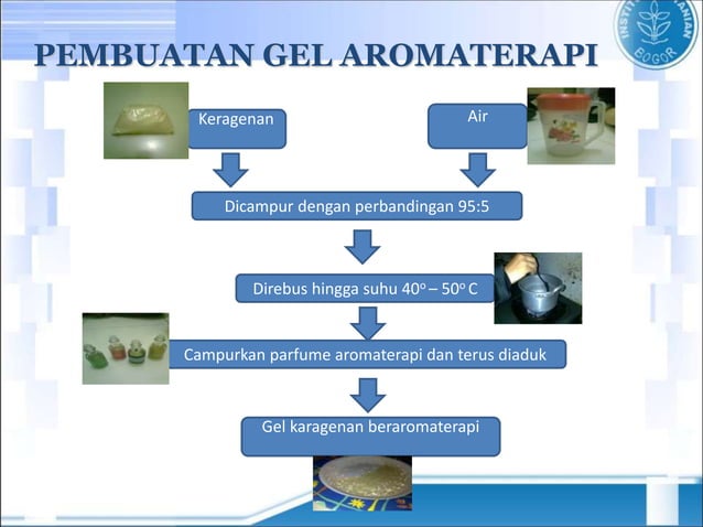 PPT LAPORAN KEMAJUAN PKMK 3.ppt