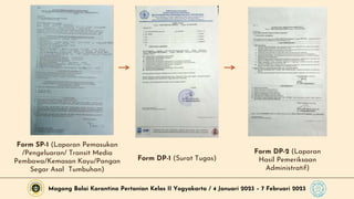 PPT Laporan Magang_UNS_Dea Marsha Pitaloka_H0719046.pptx