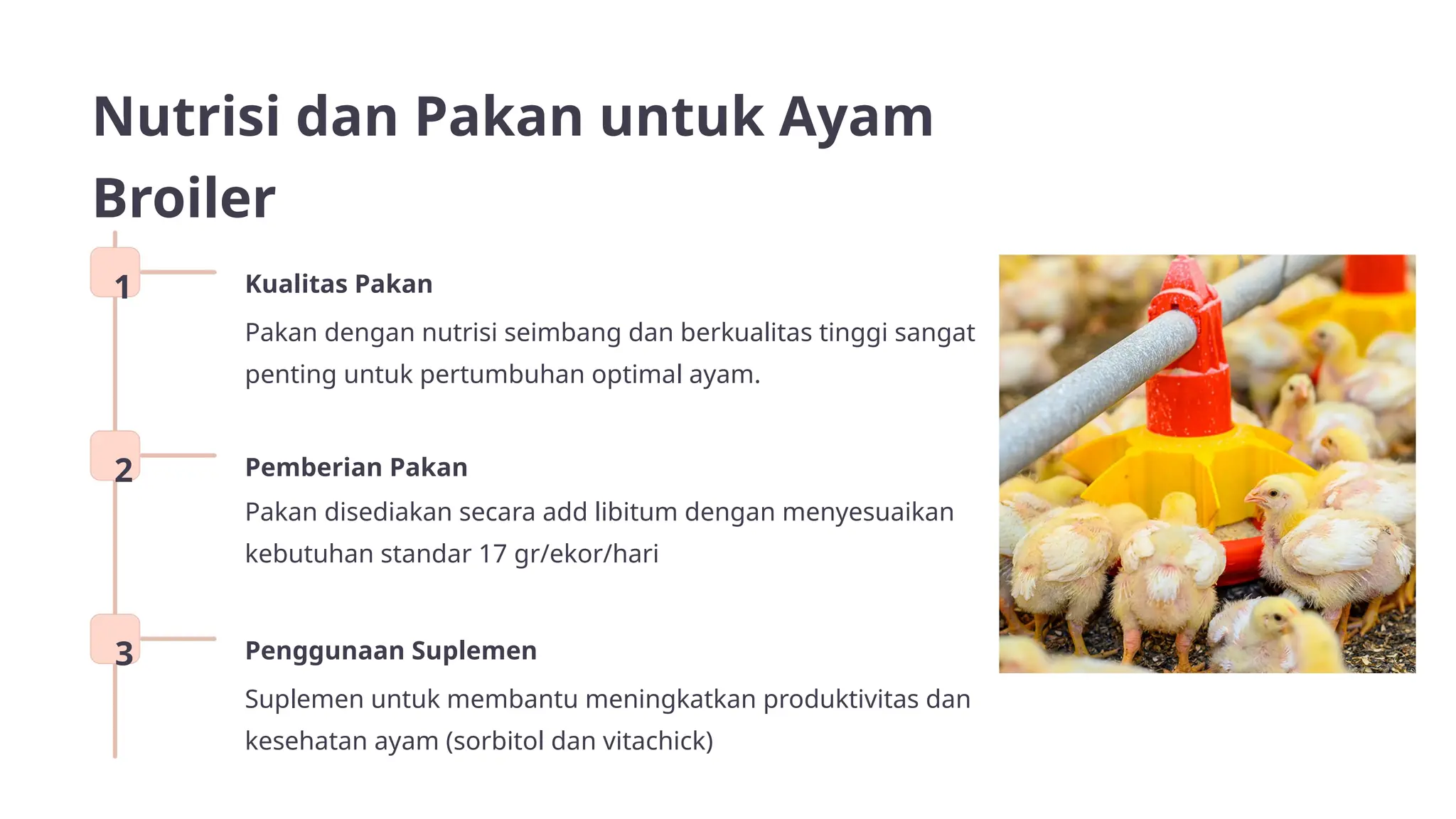 PPT Laporan Pemeliharaan Ayam Broiler Close House.pptx