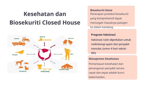PPT Laporan Pemeliharaan Ayam Broiler Close House.pptx