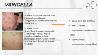 PPT Lapsus VARICELLA PROGRAM INTERINSHIP | PPTX
