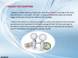 working hours holidays annual leaves for adult and young person | PPSX