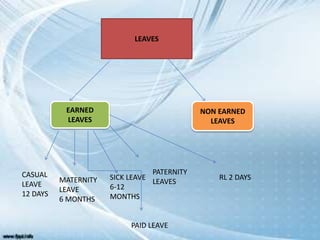 working hours holidays annual leaves for adult and young person | PPT
