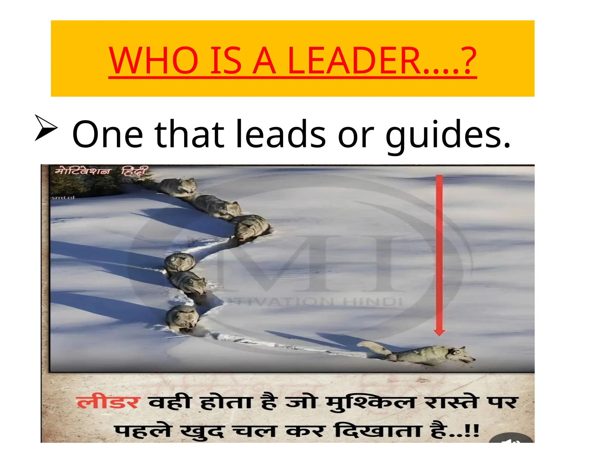 all about leadership & leader WHO IS A LEADER….? | PPT
