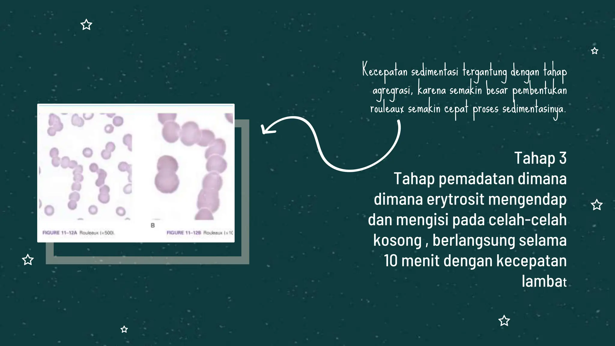 PPT LED dan HCT TEORI_20.11.22.pptx