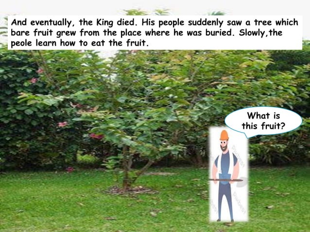 Pptlegend family morales_princess_lyn_12-emerald | PPT