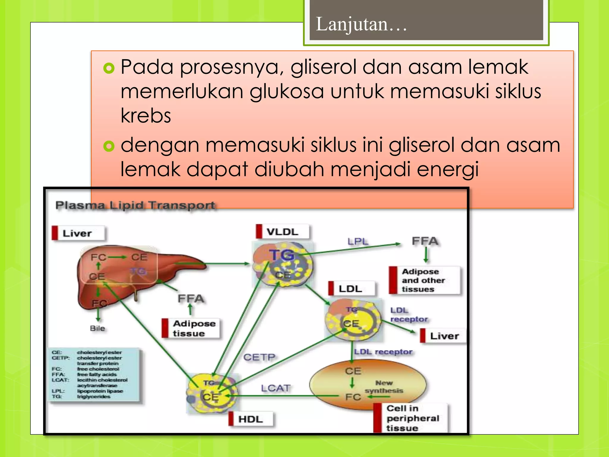 Ppt lemak | PPTX
