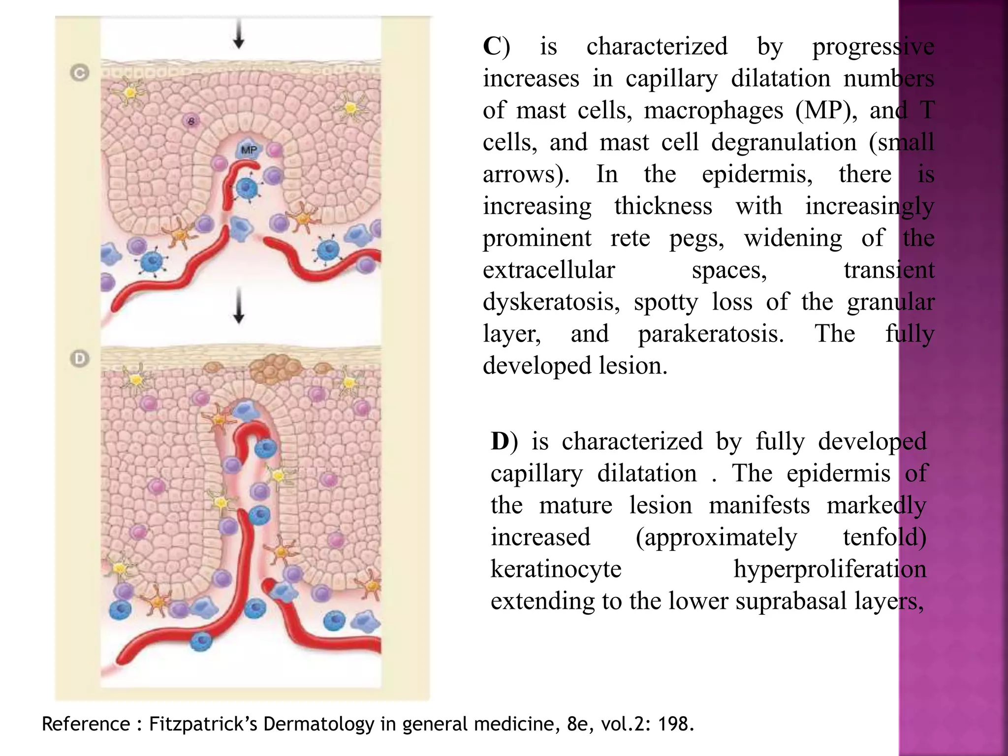 Modul Kulit | PPTX | Skin and Dermatology | Diseases and Conditions