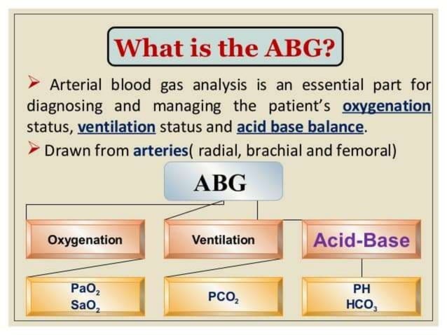 Arterial Blood Gas Analysis | PPTX