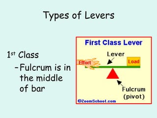 Types Of Levers