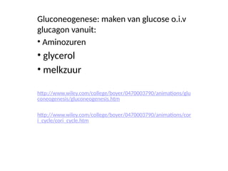 ppt lever VWO liver metabolism dutch nederlands | PPT