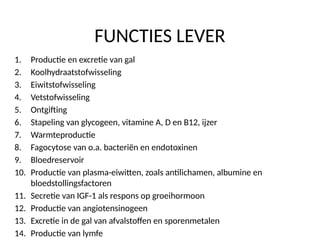 ppt lever VWO liver metabolism dutch nederlands | PPT
