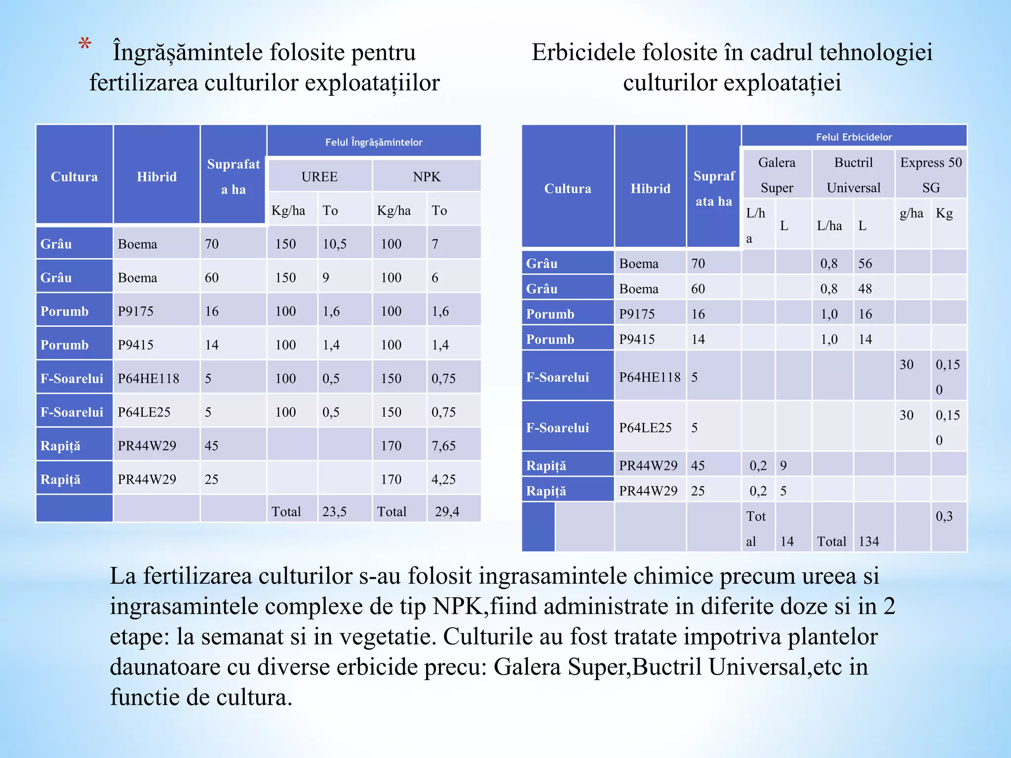 Ppt licenta final | PPTX