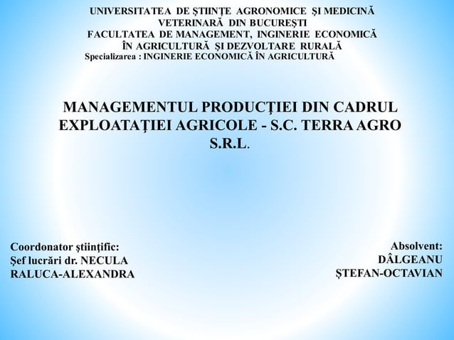 Ppt licenta final | PPTX