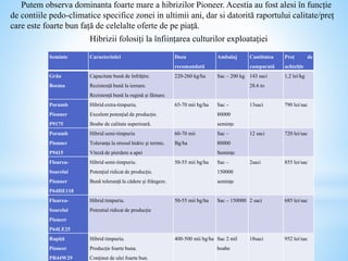 Ppt licenta final | PPTX