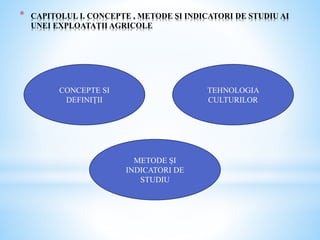 Ppt licenta final | PPTX