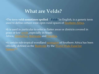 P_P_T_LIFE_IN_TEMPERATE_GRASSLANDS.pptx