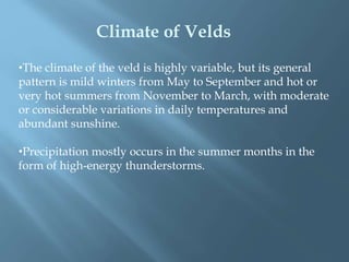 P_P_T_LIFE_IN_TEMPERATE_GRASSLANDS.pptx