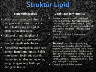 LIPID | PPTX
