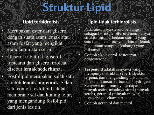 LIPID | PPTX