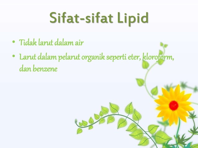 LIPID | PPTX