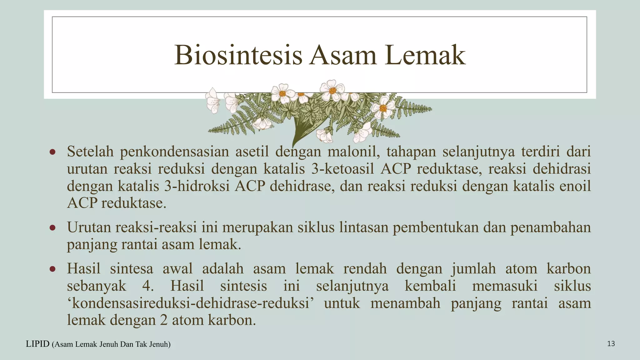 PPT LIPID.ppt