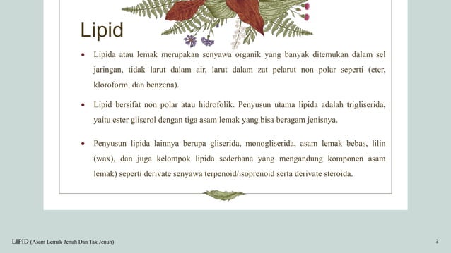 PPT LIPID.ppt
