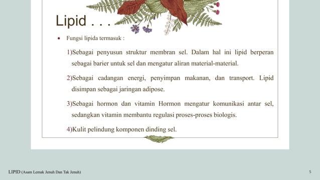 PPT LIPID.ppt