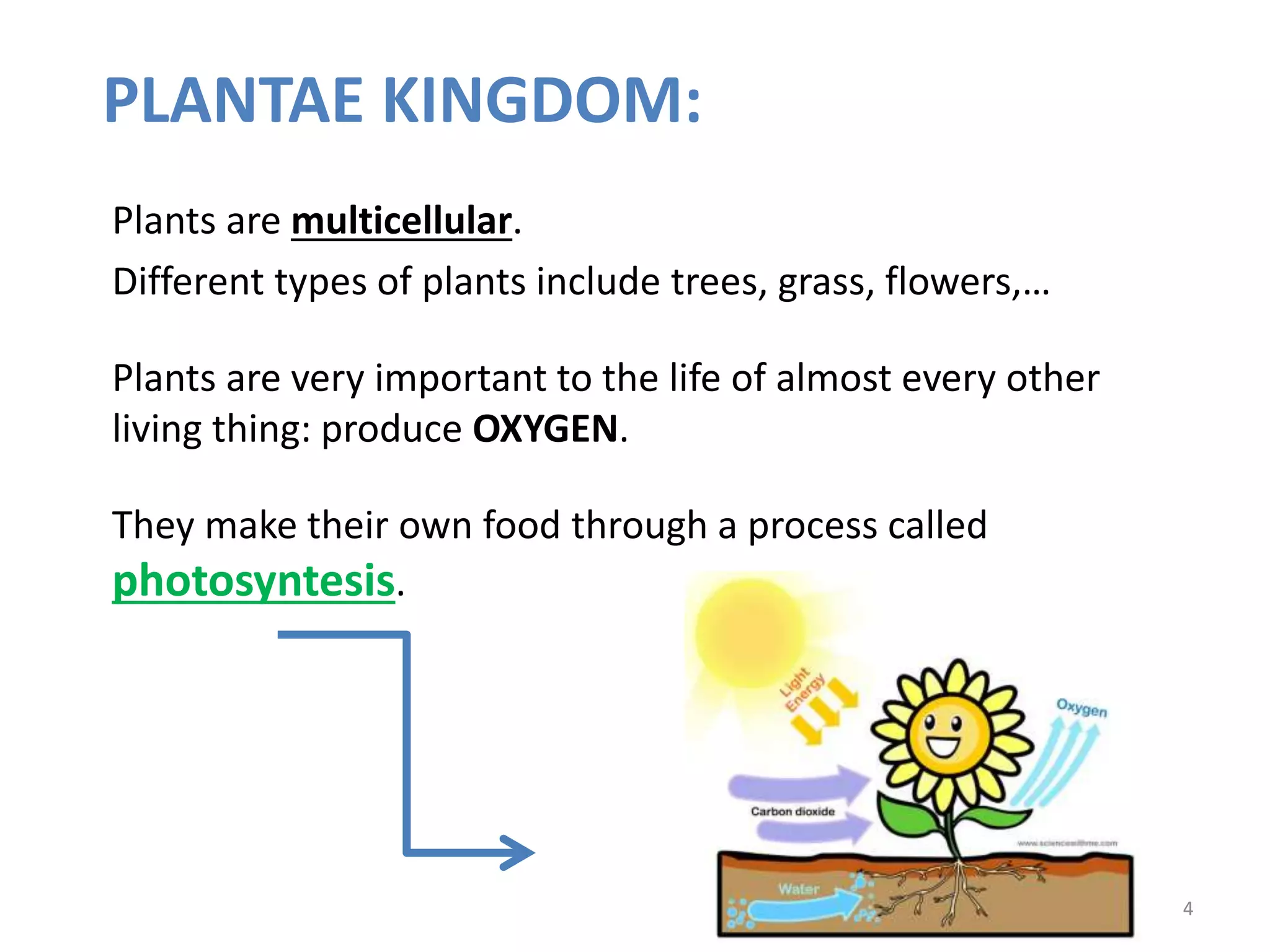PPT 5 KINGDOMS | PPTX