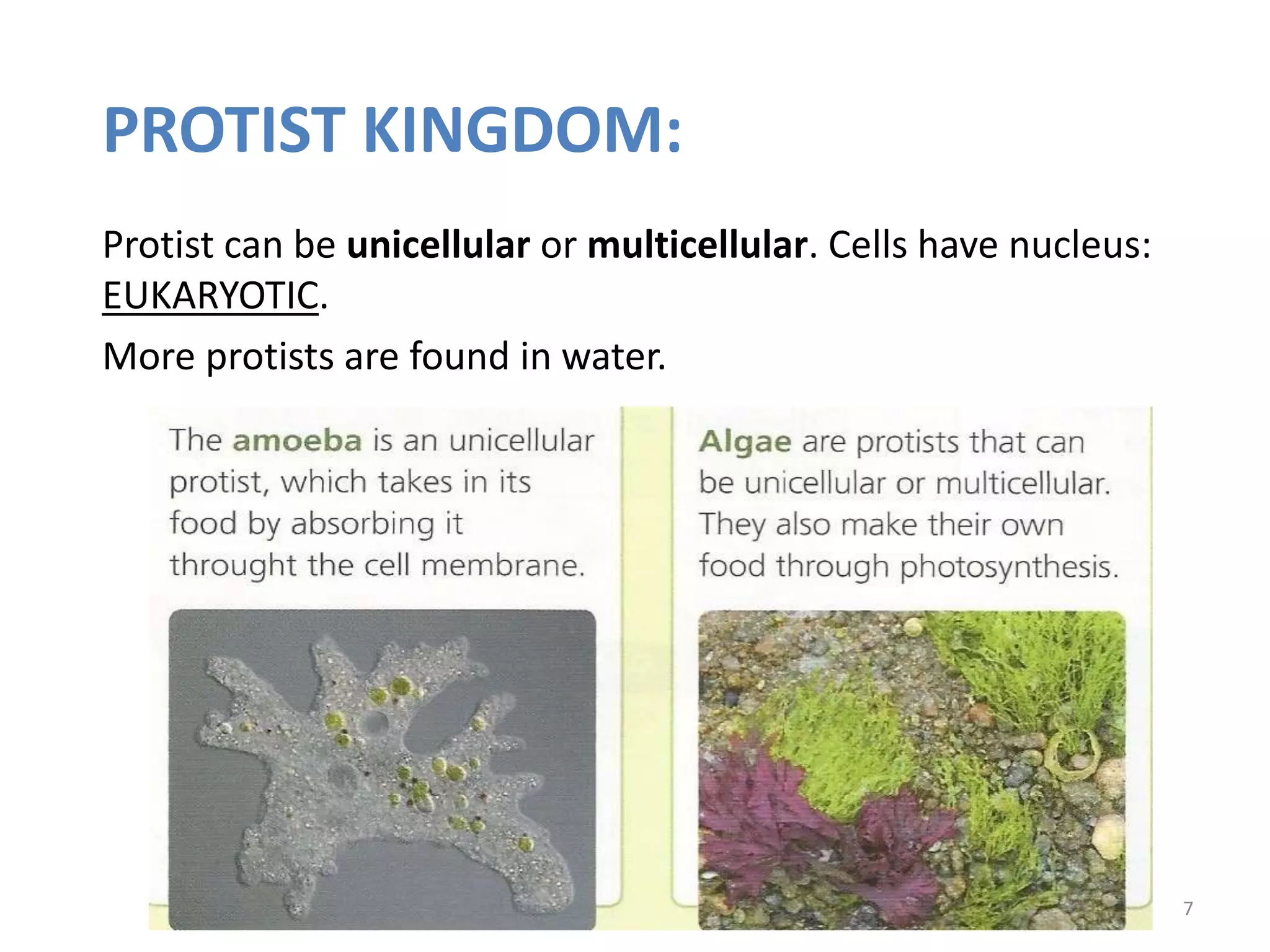 PPT 5 KINGDOMS | PPTX