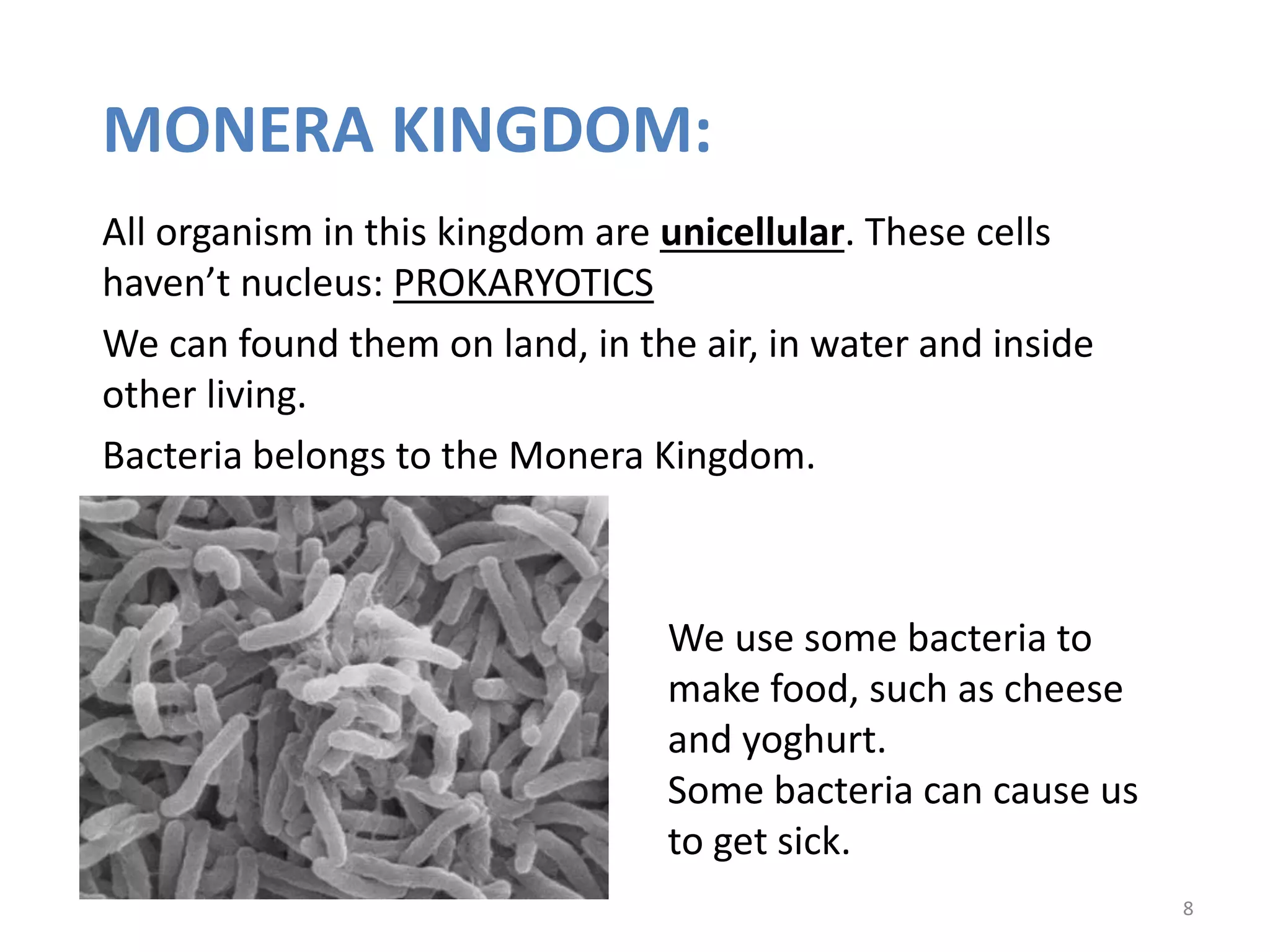 PPT 5 KINGDOMS | PPTX