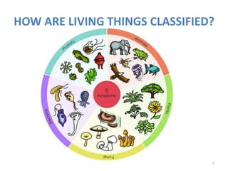 PPT 5 KINGDOMS | PPTX