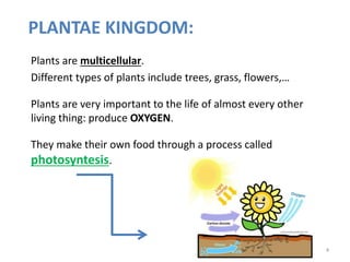 PPT 5 KINGDOMS | PPTX