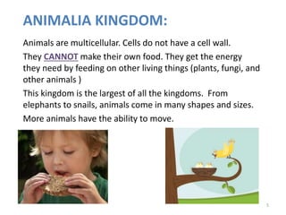 PPT 5 KINGDOMS | PPTX