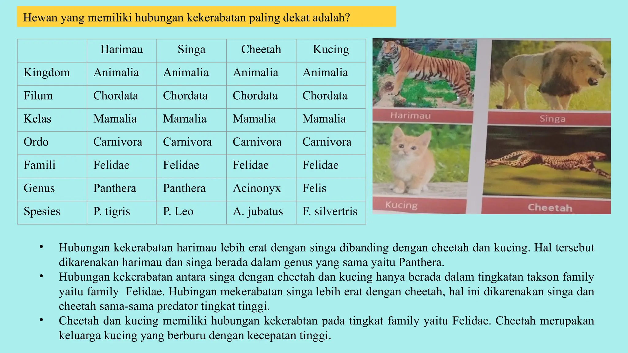 PPT SISTEM KLASIFIKASI MAKHLUK HIDUP .pptx