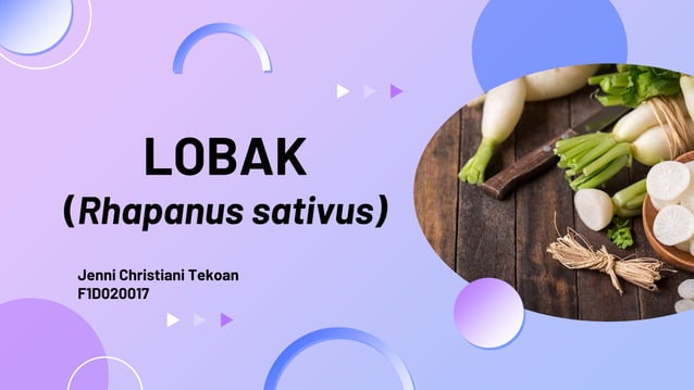 ppt lobak.pptx