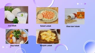 ppt lobak.pptx