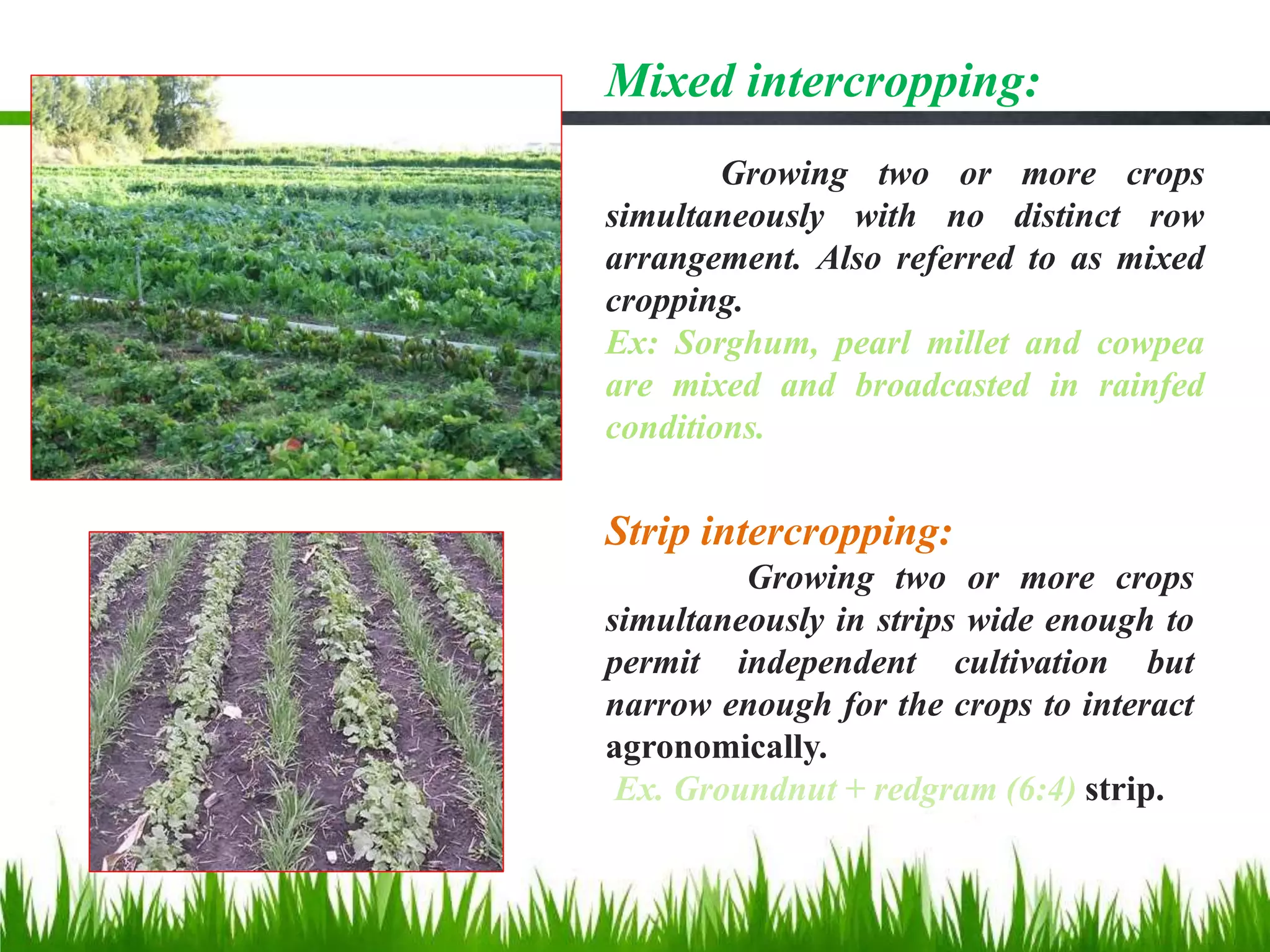 cropping systems and farming systems,Ppt lodha intro | PPTX ...