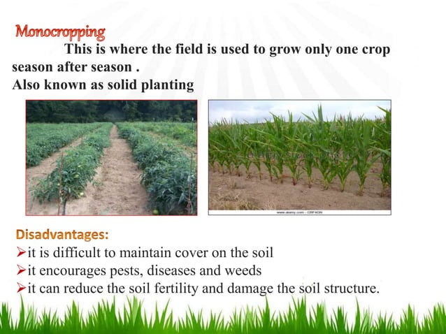 cropping systems and farming systems,Ppt lodha intro | PPTX ...
