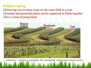 cropping systems and farming systems,Ppt lodha intro | PPTX