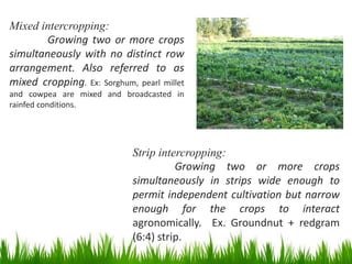 cropping systems and farming systems,Ppt lodha intro | PPTX