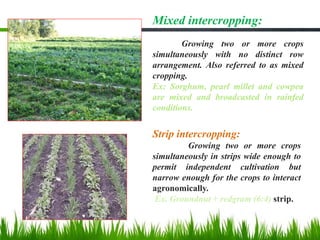 cropping systems and farming systems,Ppt lodha intro | PPTX
