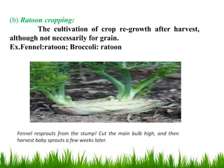 cropping systems and farming systems,Ppt lodha intro | PPTX