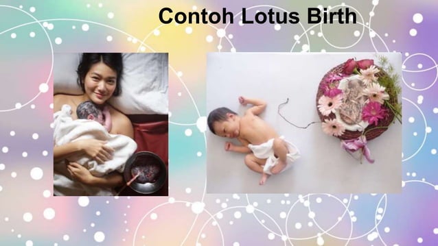 power point text tentang lotus birth.pptx