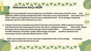 PPT LP AKDR.Power point AKDR Profesi SMT 2pptx | PPTX