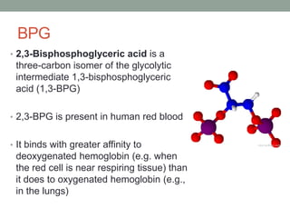 Oxygen Binding by Myoglobin and Hemoglobin | PPTX