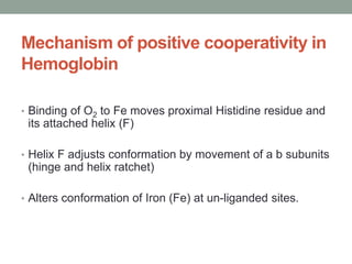 Oxygen Binding by Myoglobin and Hemoglobin | PPTX
