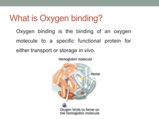 Oxygen Heme Bound To Hemoglobin