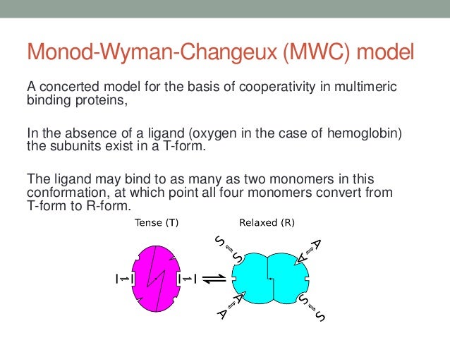 Oxygen Binding by Myoglobin and Hemoglobin