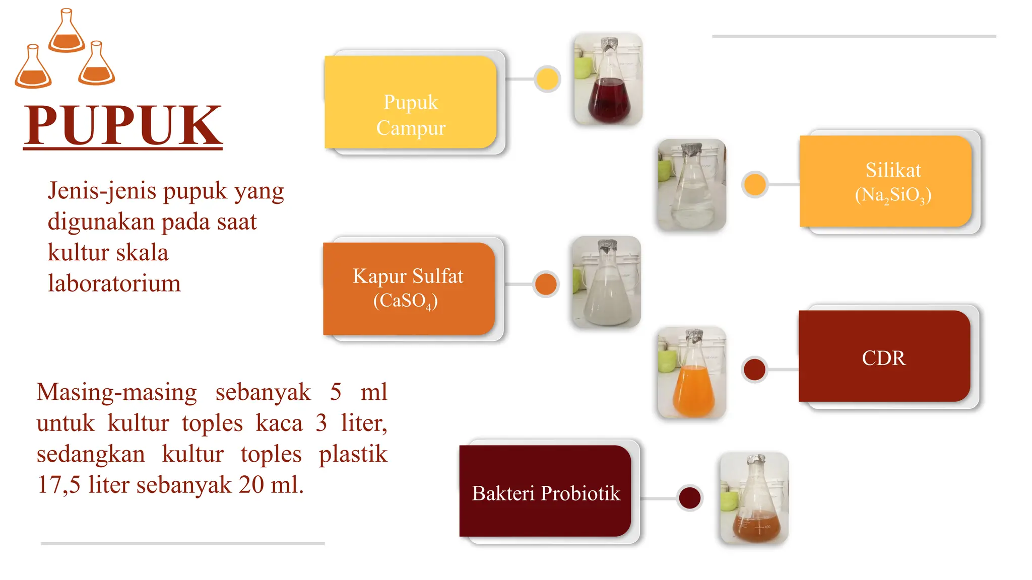 PPT MAGANG PAKAN ALAMI 3 skeletonema.pptx